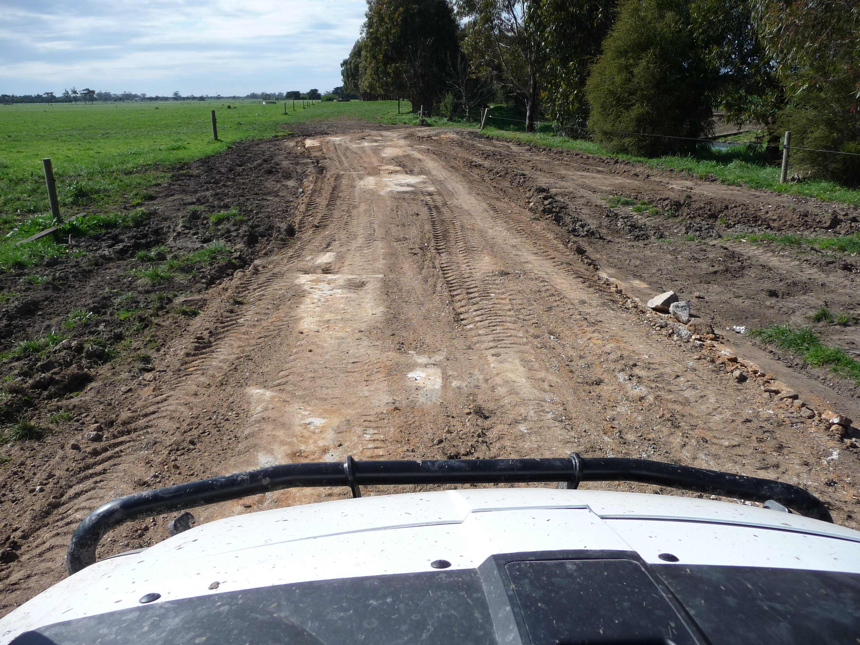 cow track | The Milk Maid Marian