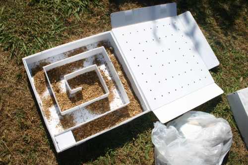 A better snake trap for the Drover’s Wife | The Milk Maid Marian